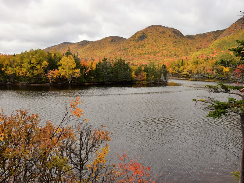 Island at Aspy Bay :: Cape Breton Land